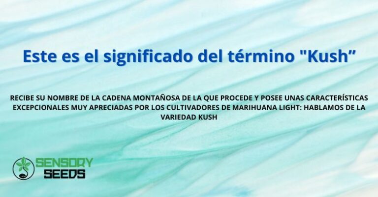 Este es el significado del término “Kush” | Sensory Seeds